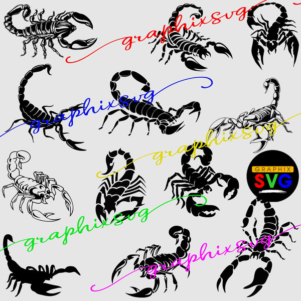 Scorpions SVG, EPS, PNG. Scorpion Clipart, Zodiac scorpion [all layere ...